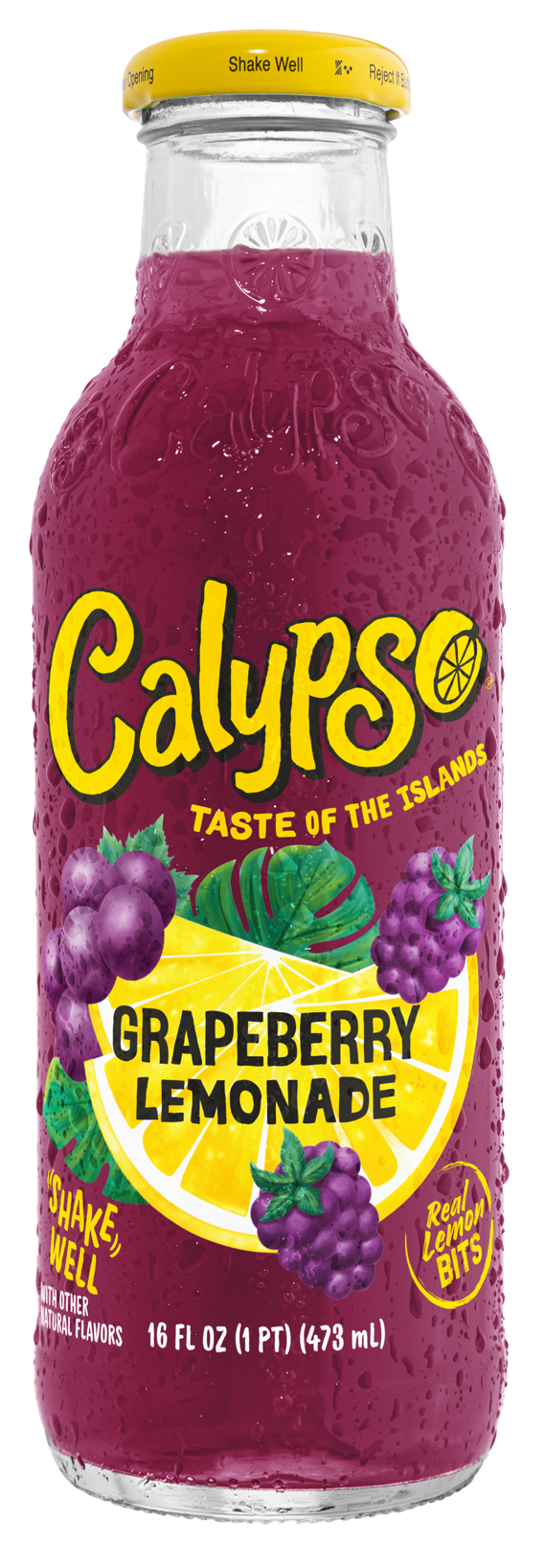 Calypso Lemonade, Grapeberry, 16oz (Pack of 12) – Oasis Snacks