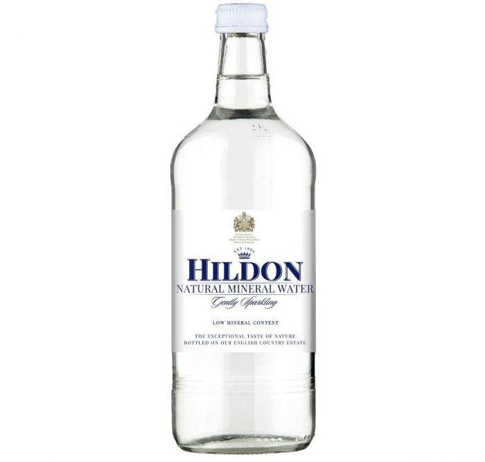 Hildon Natural Delightfully Sparkling Mineral Water 25.3 Fl Oz. (Pack ...